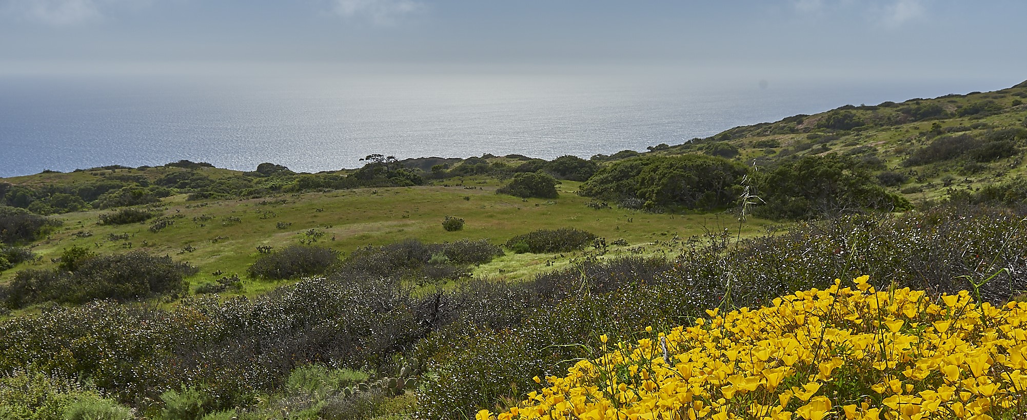 Looking to the Future - Catalina Island Conservancy