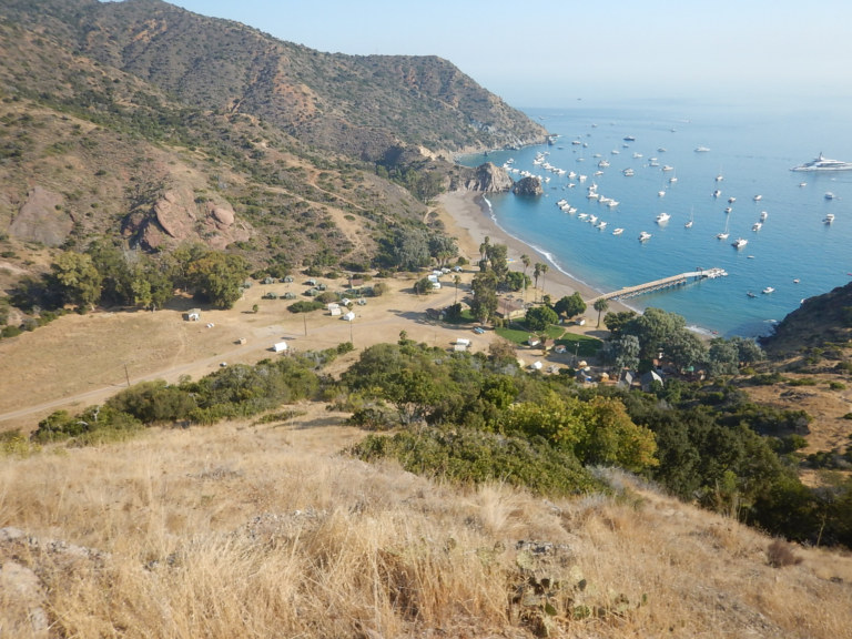 White’s Landing Boat-In and Hike - Catalina Island Conservancy