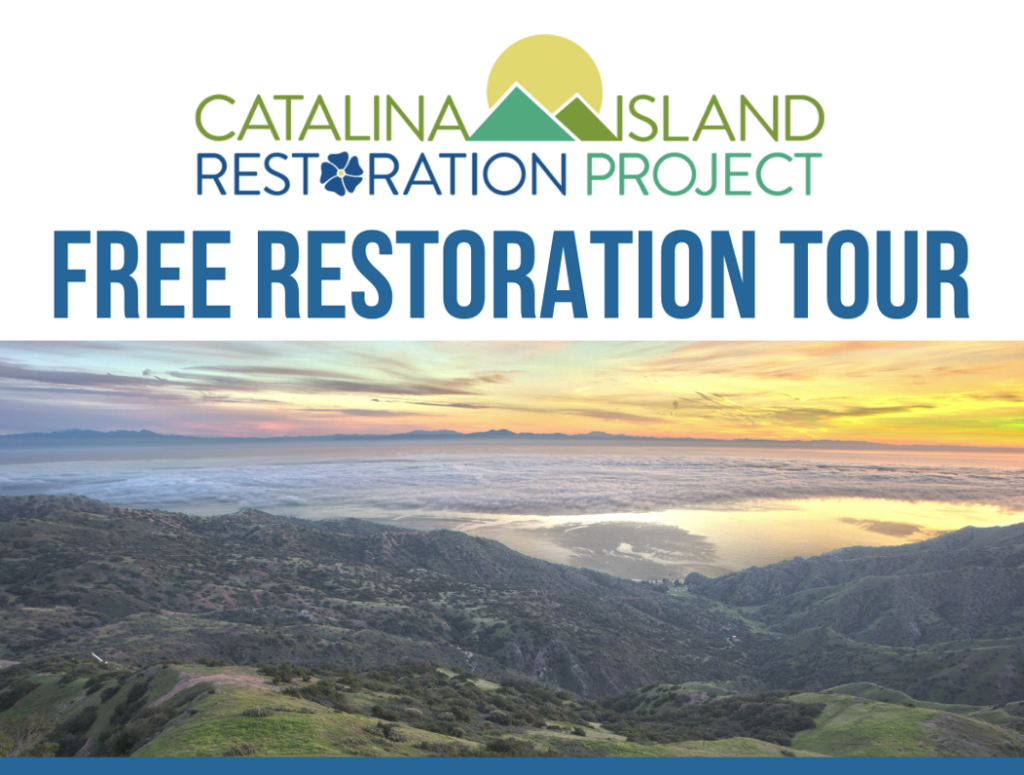 Whites Restoration Area Tour - Catalina Island Conservancy