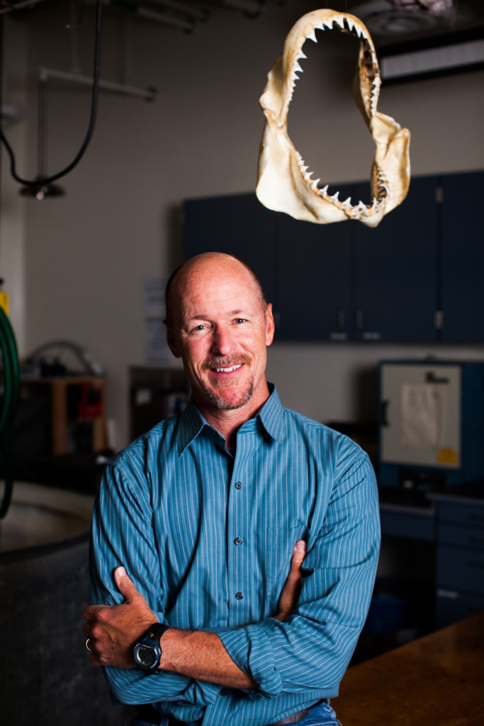Last Friday Lecture Series – Understanding California’s White Sharks ...