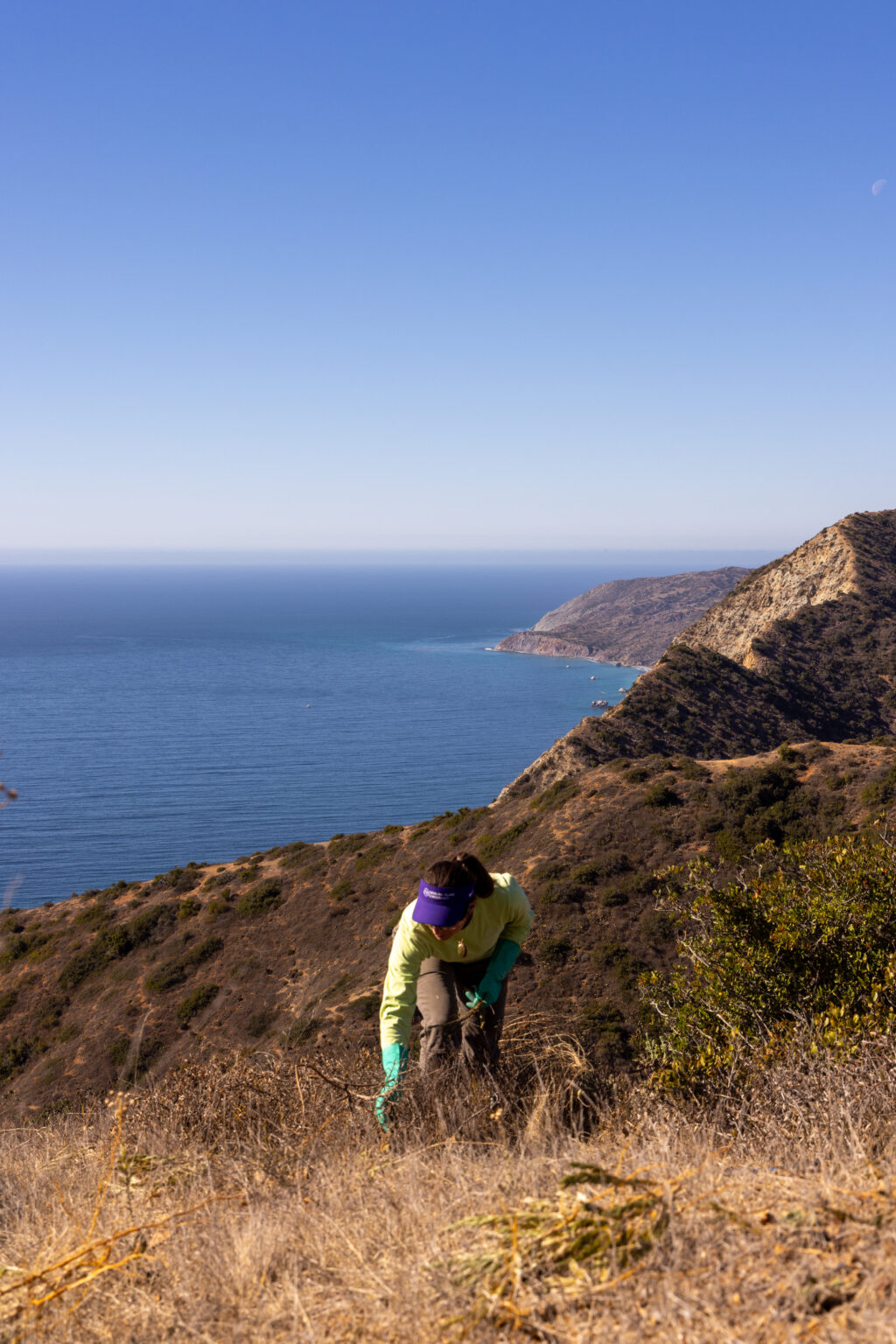 Restoring the Land: A Key to Wildfire Resilience - Catalina Island ...