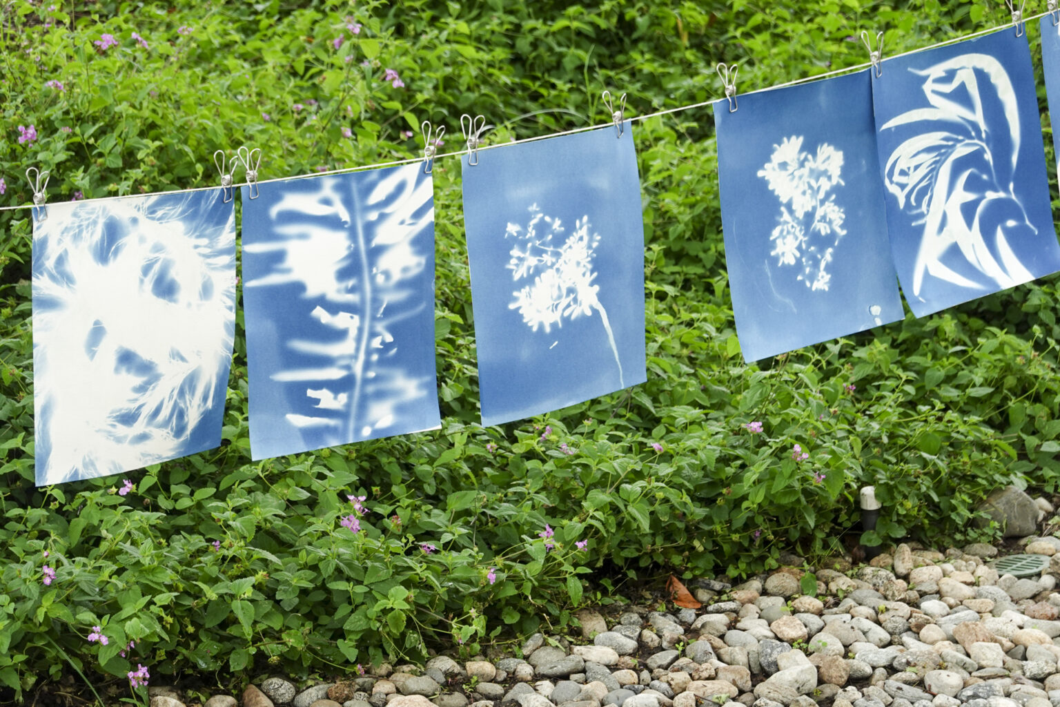 Events - Catalina Island Conservancy