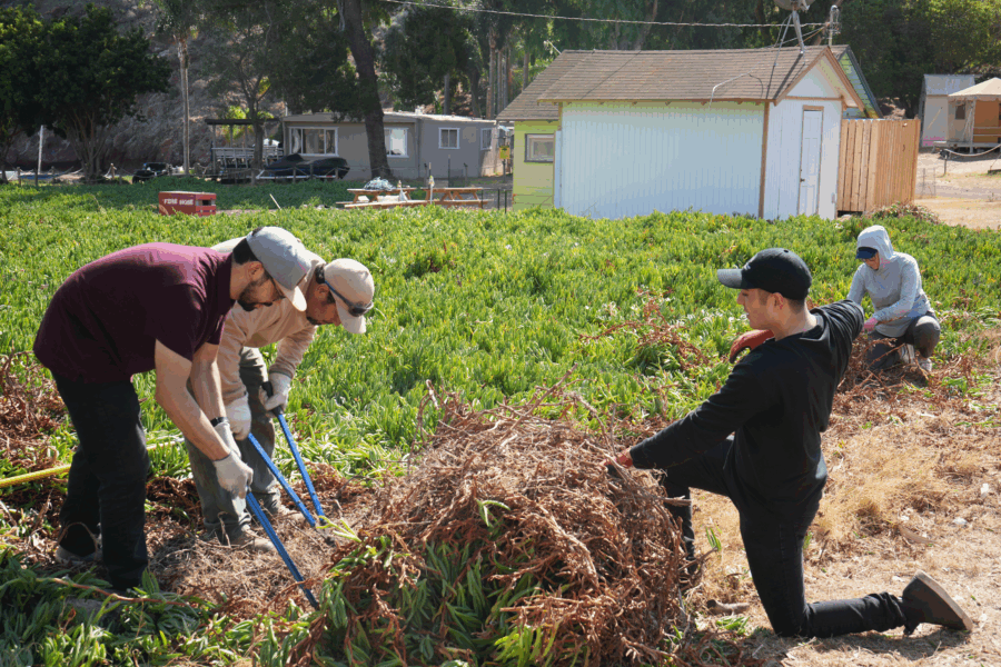 Conservancy Staff Field Day Brings Team Together to Restore the ...
